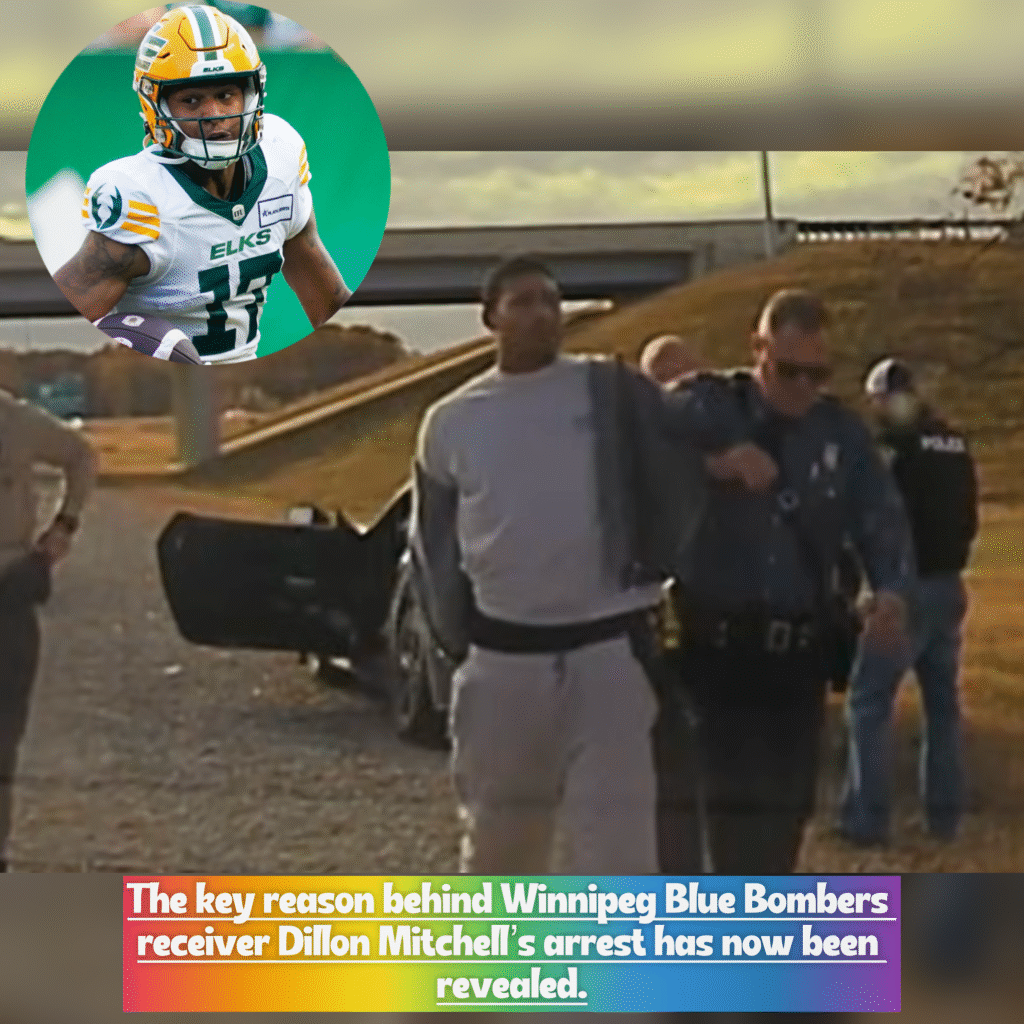 Main reason explained why Winnipeg Blue Bombers wide receiver Dillon ...