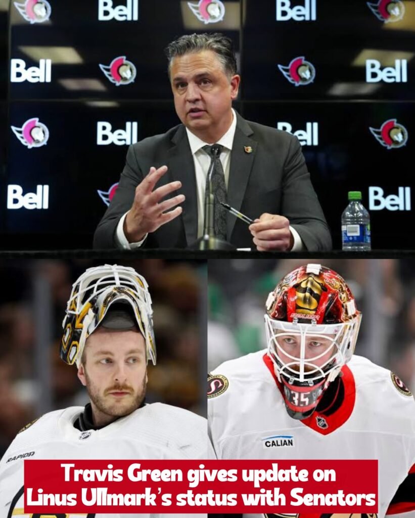 Head coach Ottawa Senators Travis Green comments on Linus Ullmark amid ...
