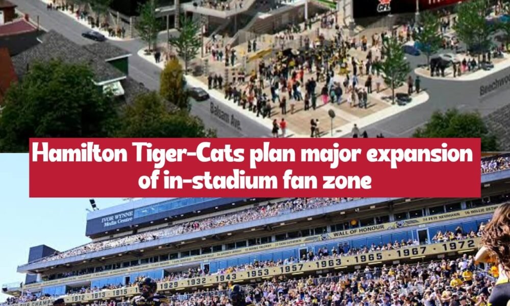 Hamilton Tiger-Cats unveil plans to enhance and expand stadium fan zone ...